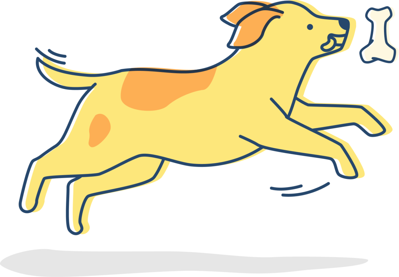 Your Pet Health - Expert Care, Tips & Resources for Your Furry Friends | Keep Your Pets Healthy ...